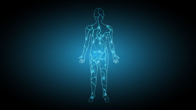 Unleashing the Power Within: Exploring the Wonders of Bioelectricity ...