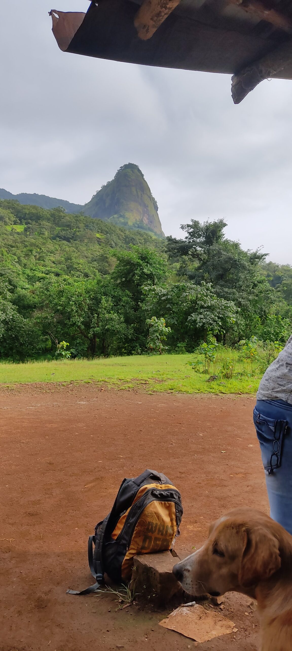 Devkund Waterfalls 2025 A Hidden Paradise in Maharashtra - Onecuriousguide